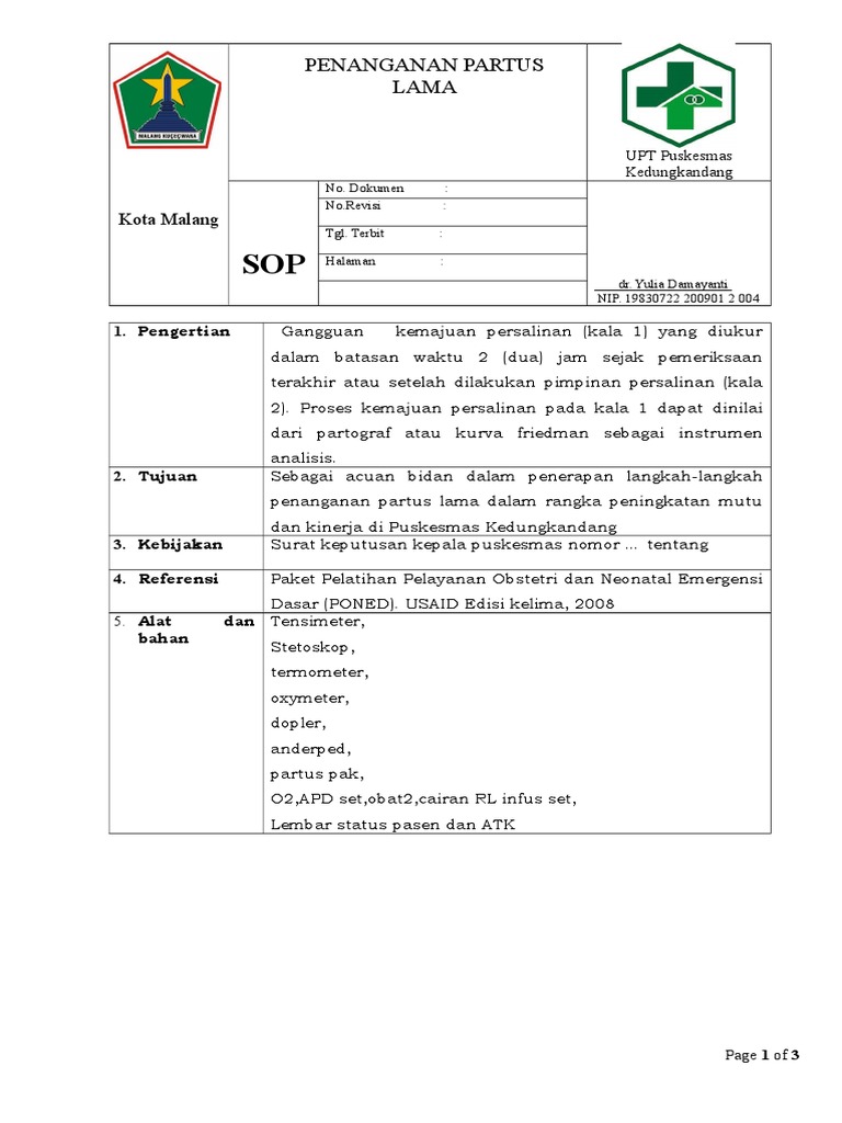 Sop Penanganan Partus Lama Fix | PDF