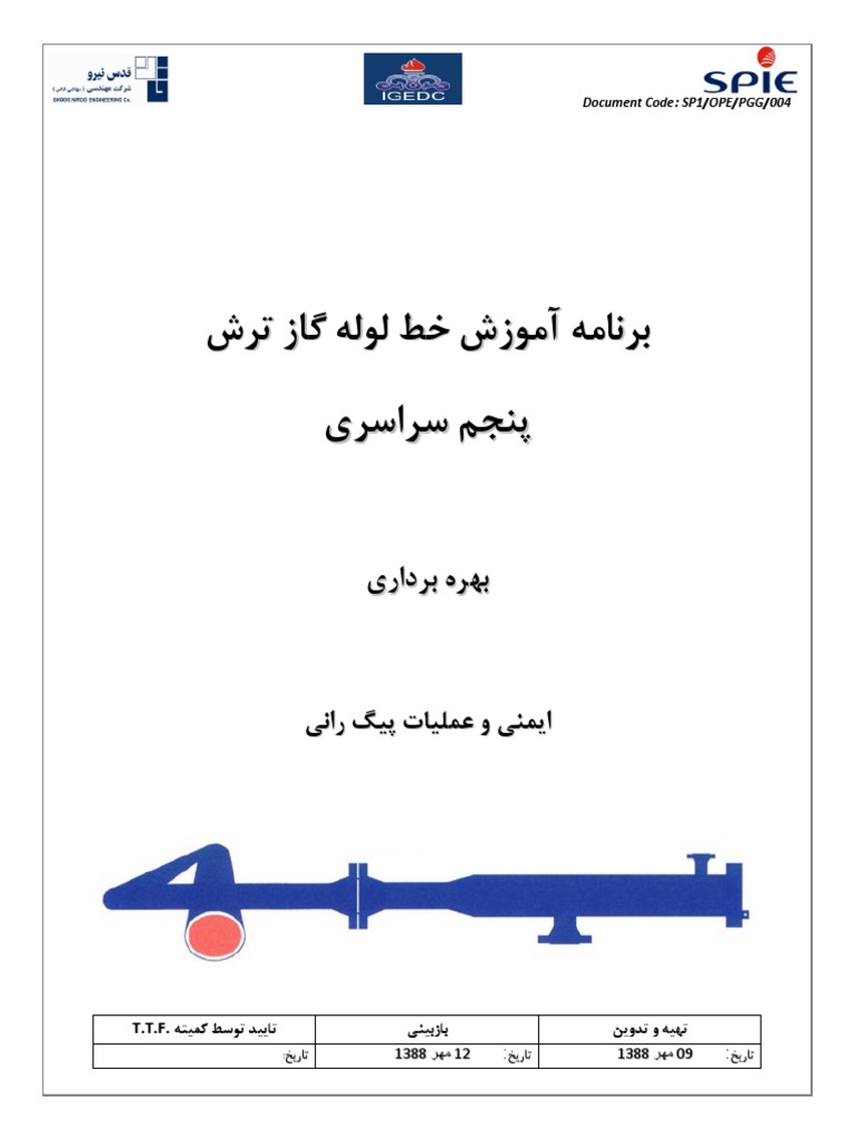 Pigging Operations | PDF