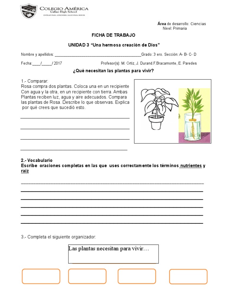 Ficha de Las Plantas 2017 | PDF | Raíz | Plantas