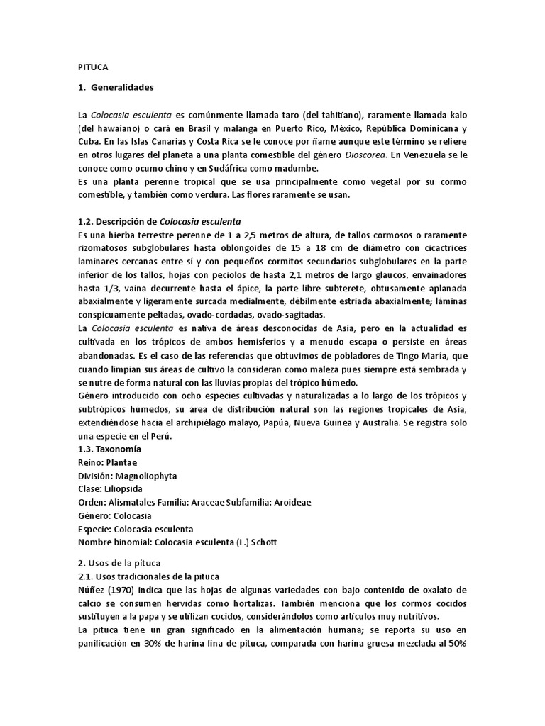 Beneficios y usos de la pituca | PDF | Agricultura | Botánica