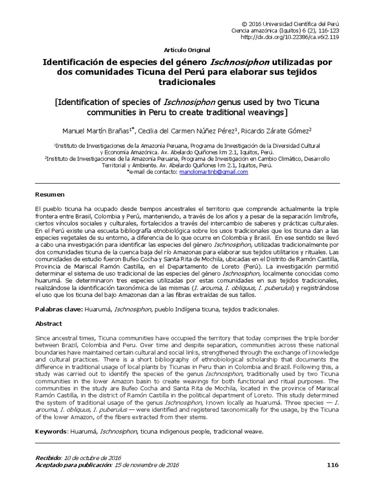 Ischnosiphon | PDF | Cúrcuma | Perú