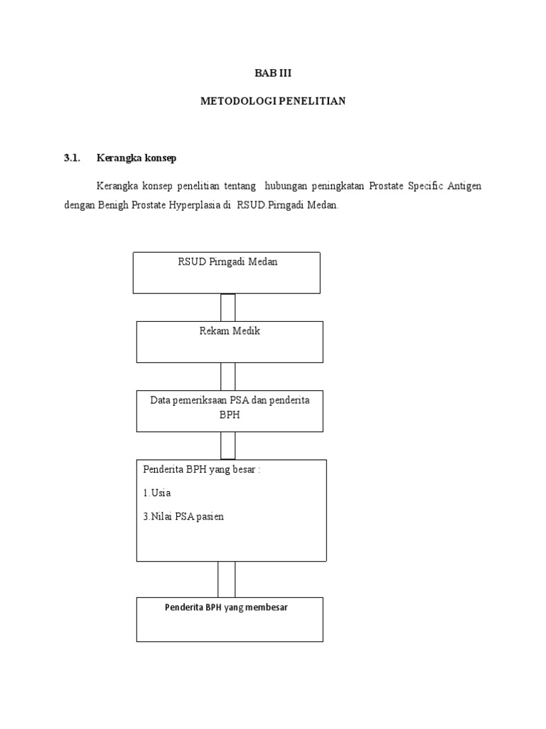 Skripsi Bab Iii Pdf