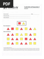 Protocolo Wisc V | PDF