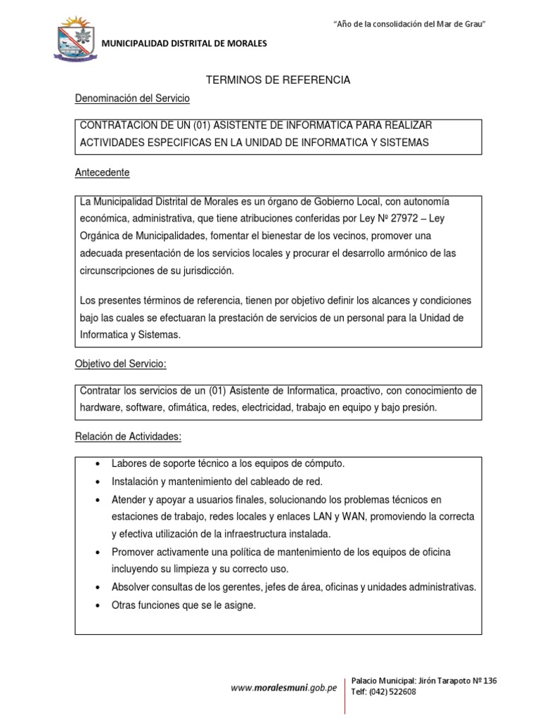 Modelo de TDR | PDF | Soporte técnico | Red de computadoras