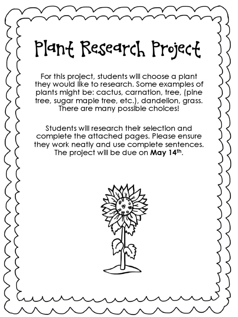 Plant Research Project | Download Free PDF | Cognition