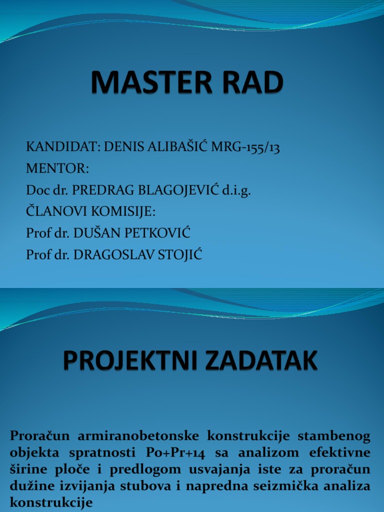 Master Rad-Denis Alibašić | PDF