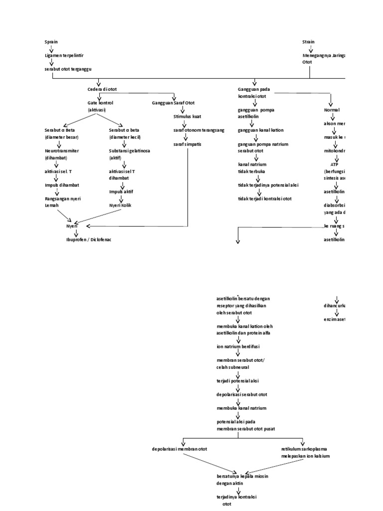 Pathway Gadar Sprain-Strain | PDF