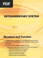 Integumentary System PPT | PDF | Skin | Integumentary System