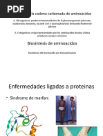 pGEM T and pGEM T Easy Vector Systems TM042 | PDF | Reacción en cadena ...