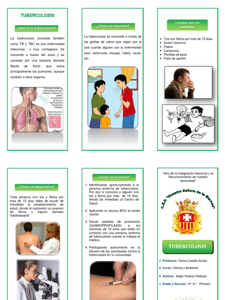 TRIPTICO Tuberculosis | PDF | Tuberculosis | Enfermedades animales