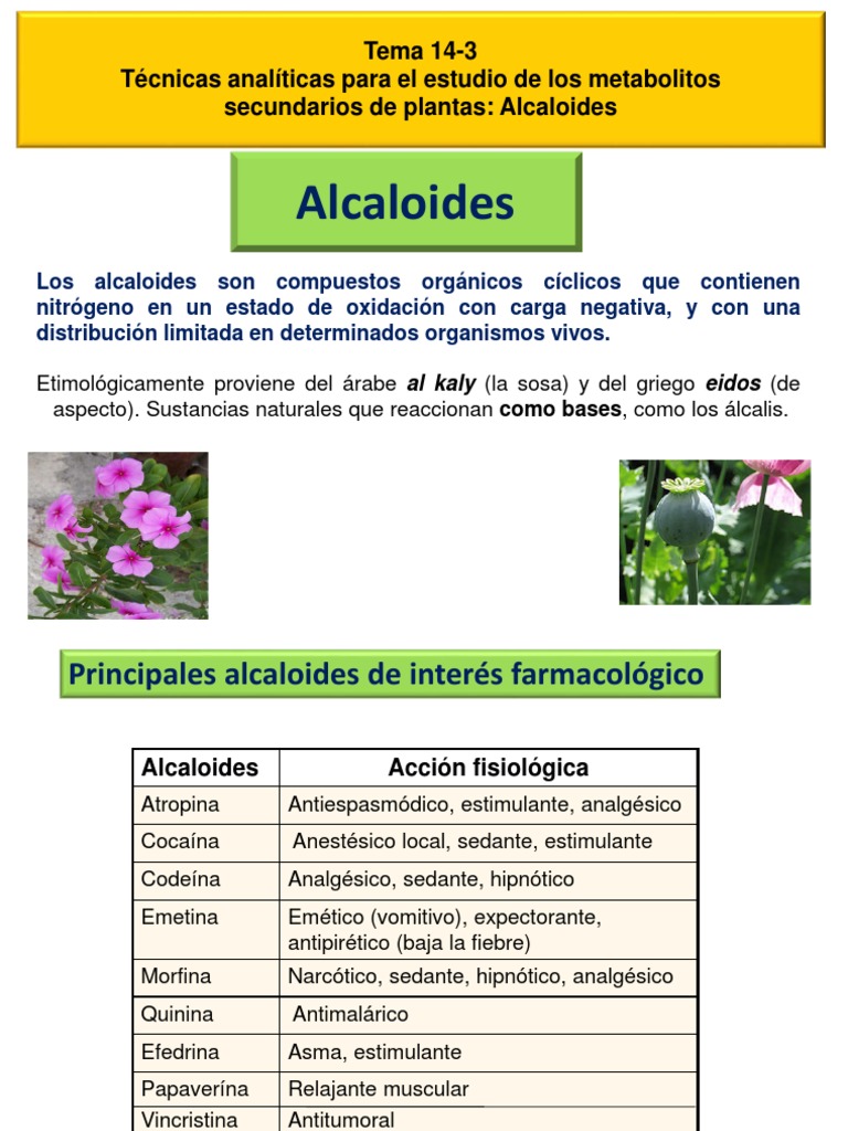 Tema 14 3 Alcaloides Resumen | Alcaloide | Solubilidad