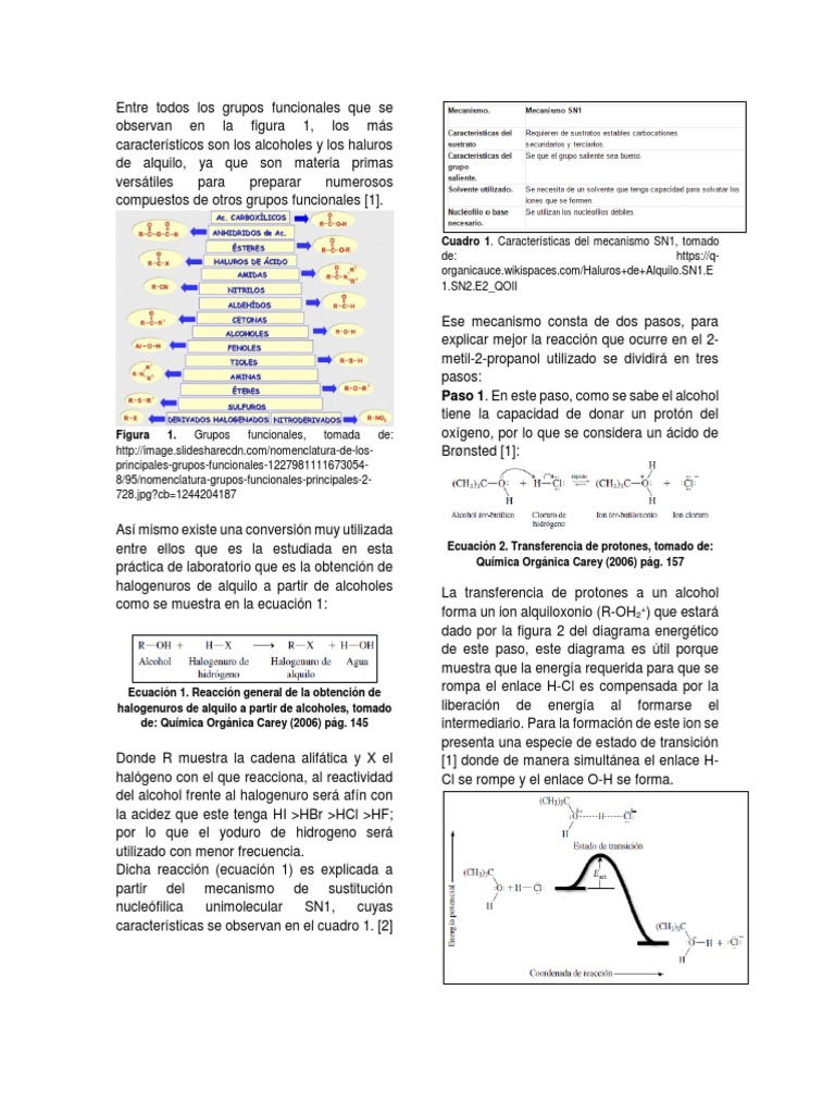 Marco Teorico | PDF | Cloro | Sustancias químicas