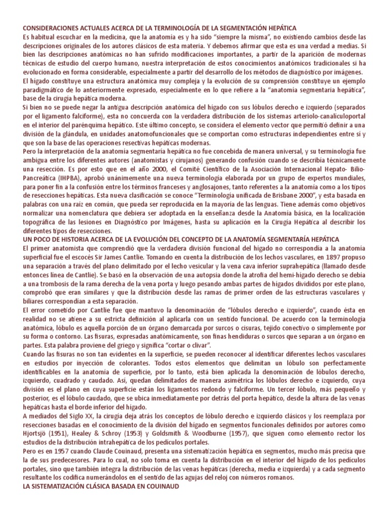 Segmentacion Hepatica Pdf Hígado Anatomía
