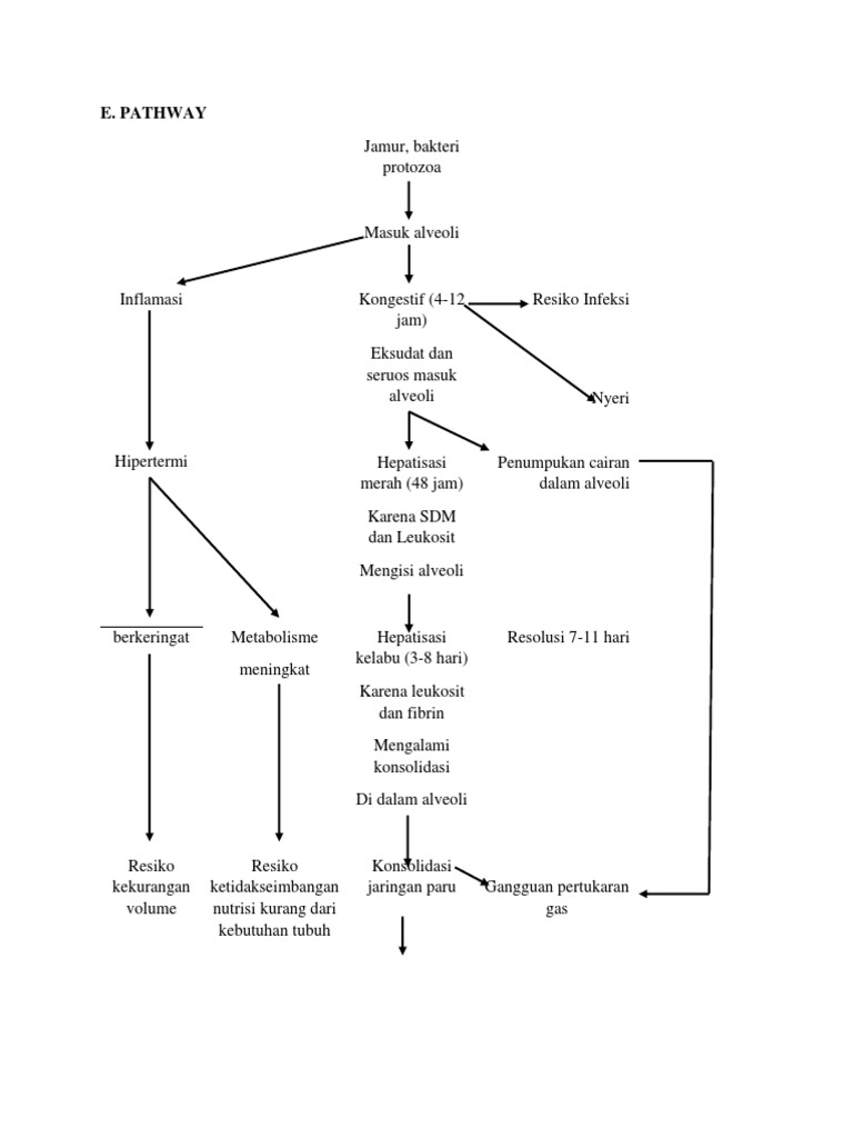 Pathways Pneumonia... | PDF