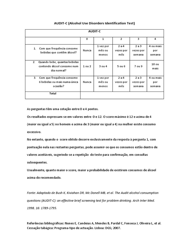 Audit C Pdf Pdf