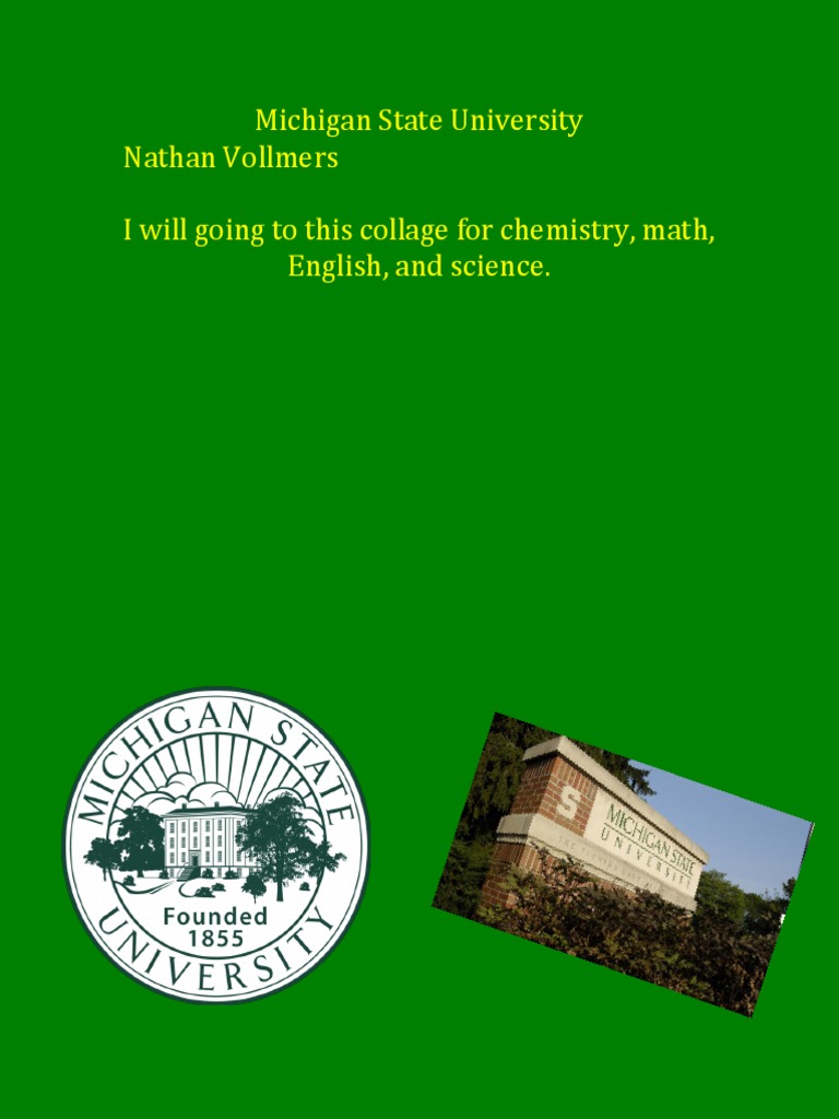 Michigan State University | PDF | Social Science | Wellness