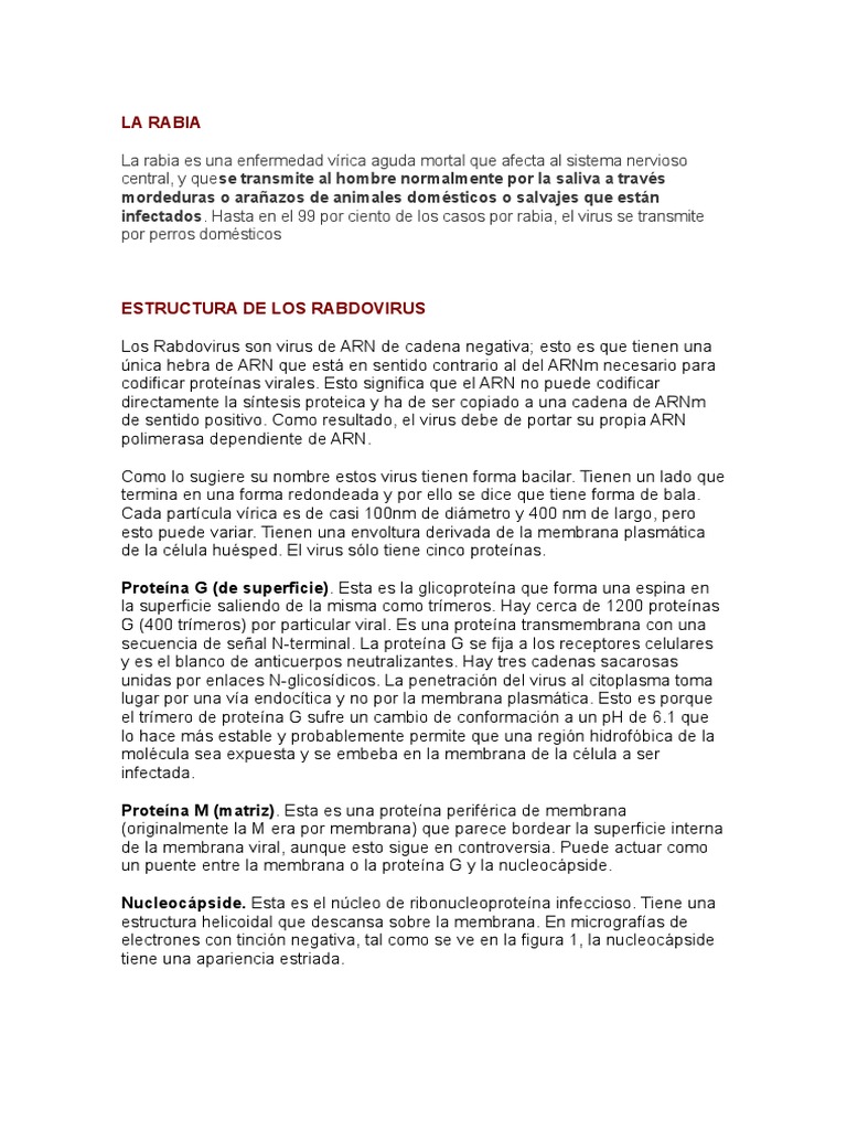 Estructura y Fisiologia Del Virus de La Rabia | PDF | Rabia | Virus