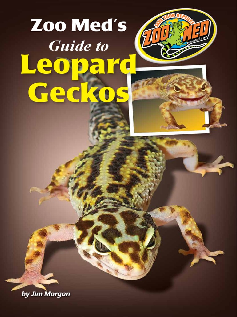 Leopard Gecko Guide | PDF | Nature