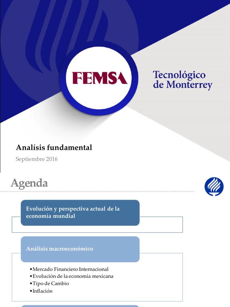 Analisis Fundamental FEMSA 2016