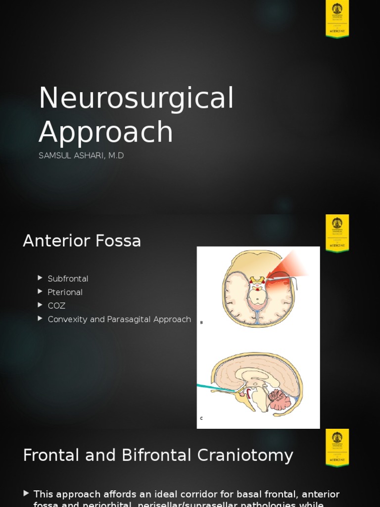 Neurosurgical Approach - Final | Download Free PDF | Brainstem | Spinal ...