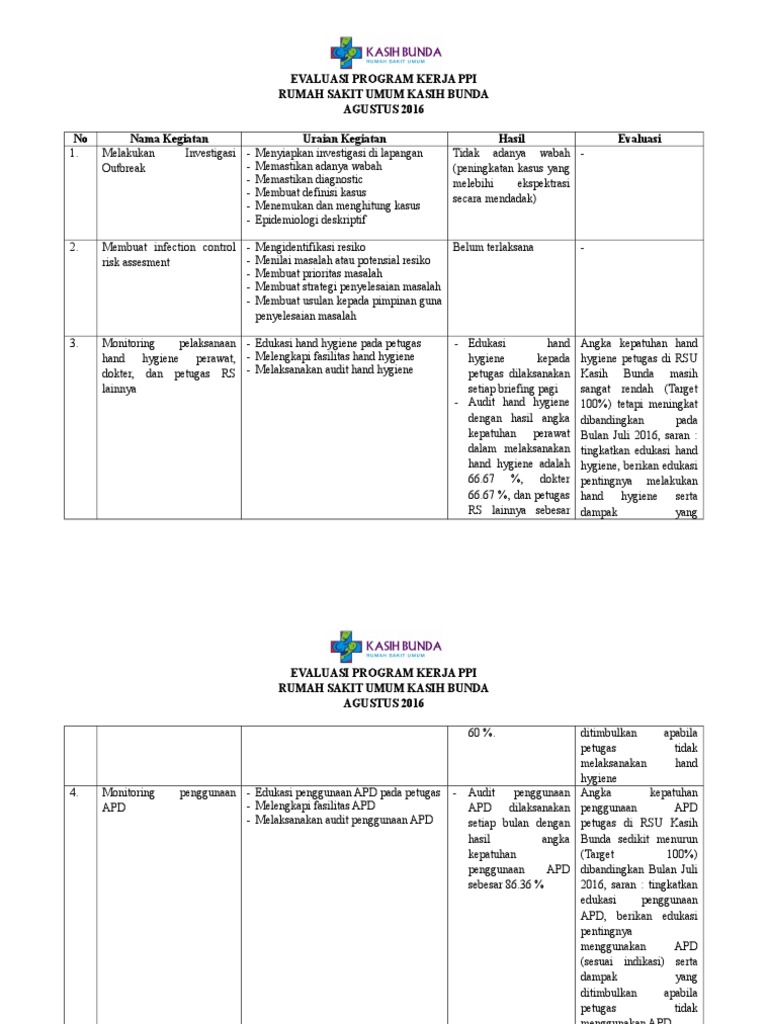 Evaluasi Program Kerja PPI | PDF
