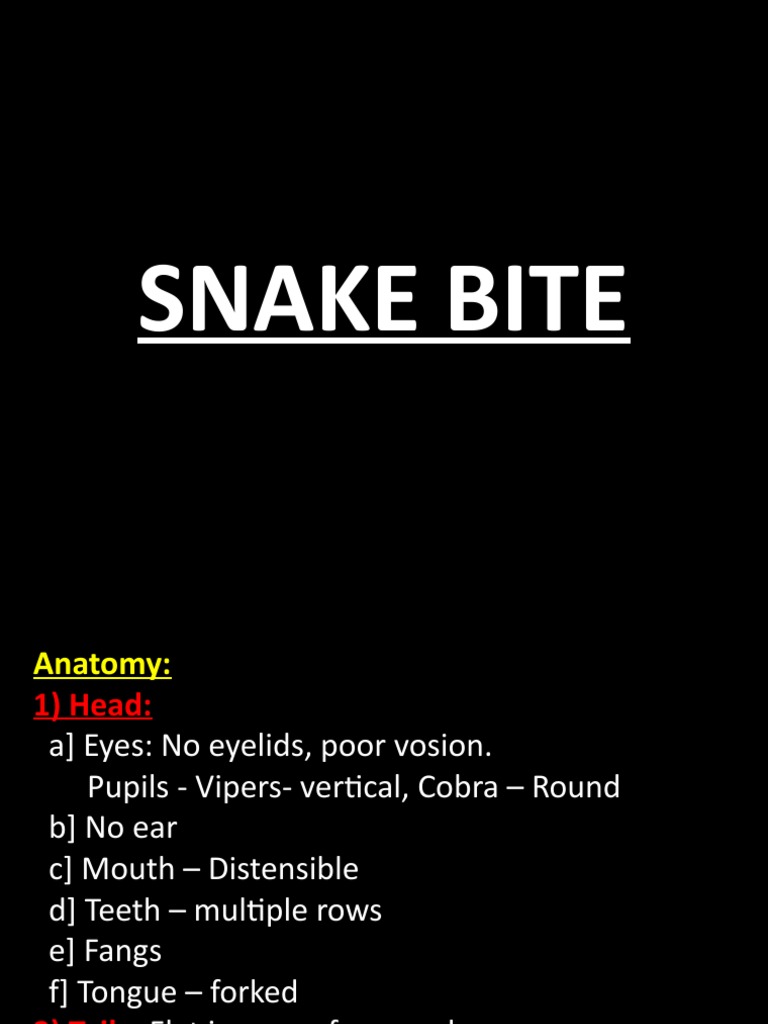 Snake Bite | PDF | Snake | Venomous Snakes