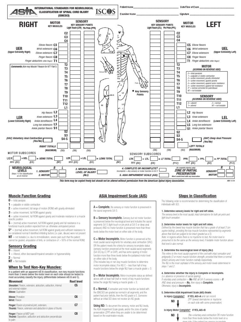ASIA International Standards For Neurological Classification of Spinal ...