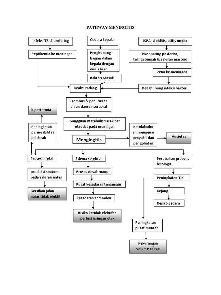 Pathway Meningitis dan Infeksi TB | PDF