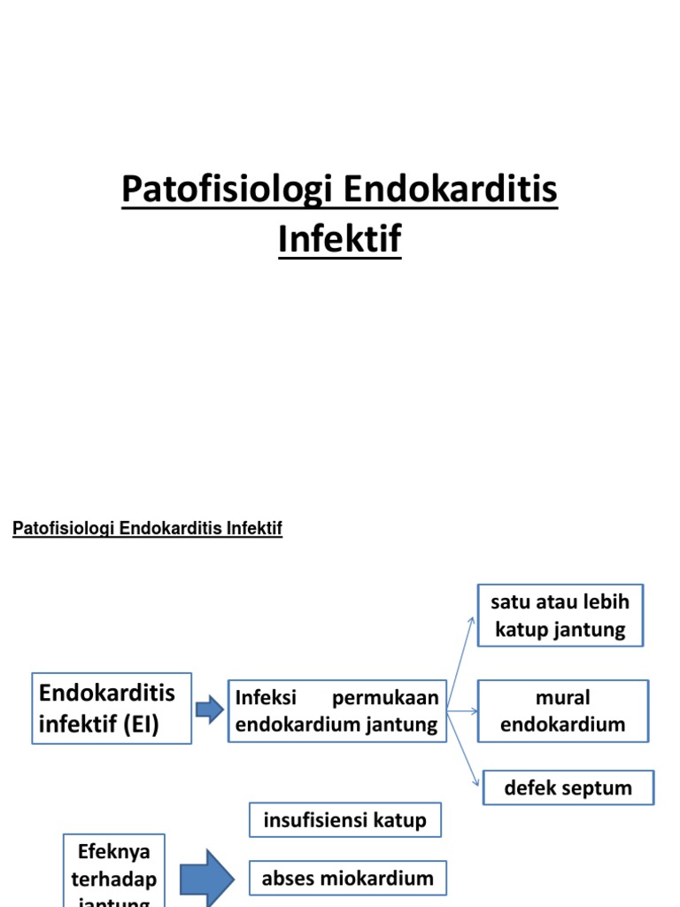 Patofisiologi Endokarditis Infektif | PDF