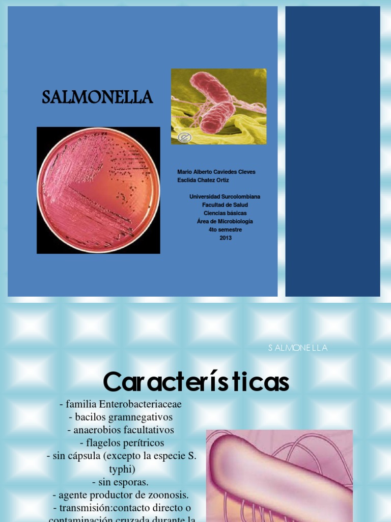 Salmonella: Características y Patogenia | PDF | Salmonela | Medicina