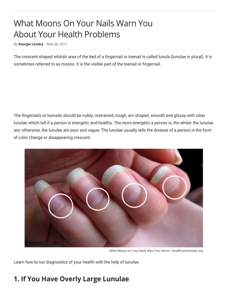 Lunula | Nail (Anatomy) | Circulatory System