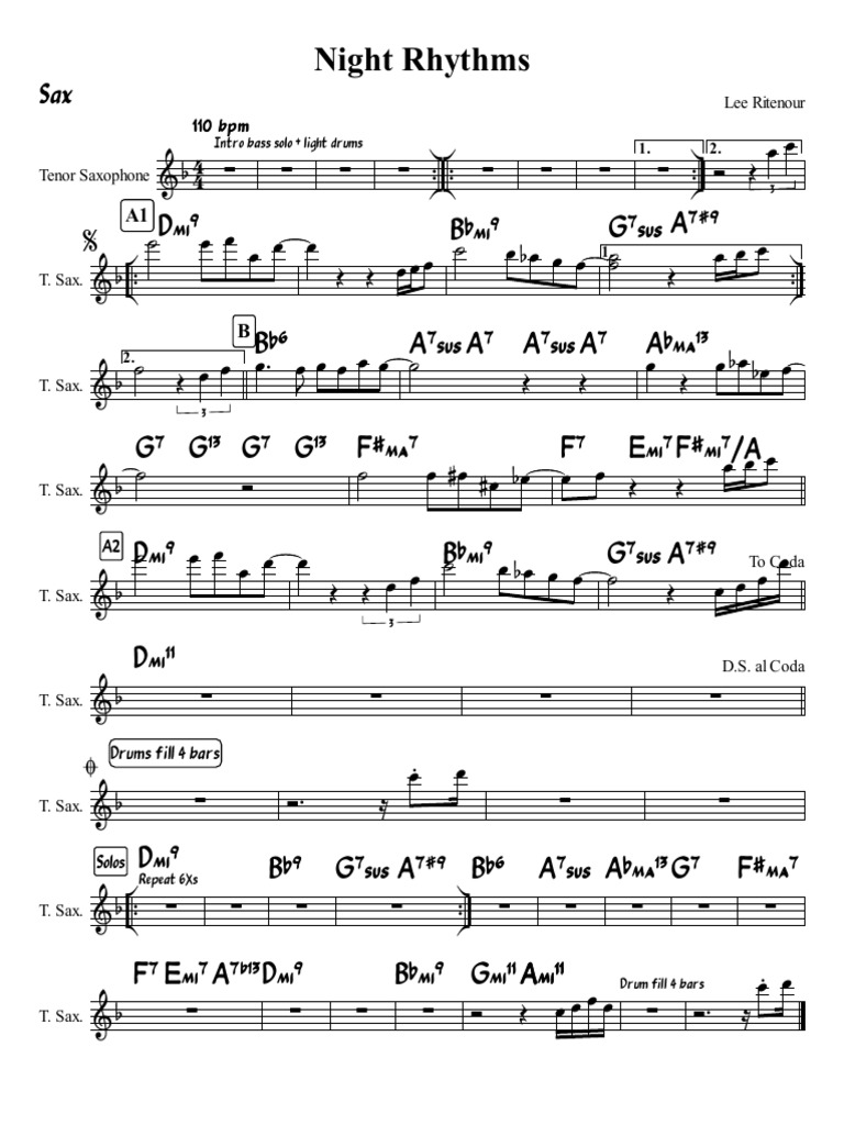 Night Rhythms PDF | PDF