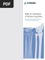 AO OTA Fracture and Dislocation Classification Leaflet | PDF | Injury ...