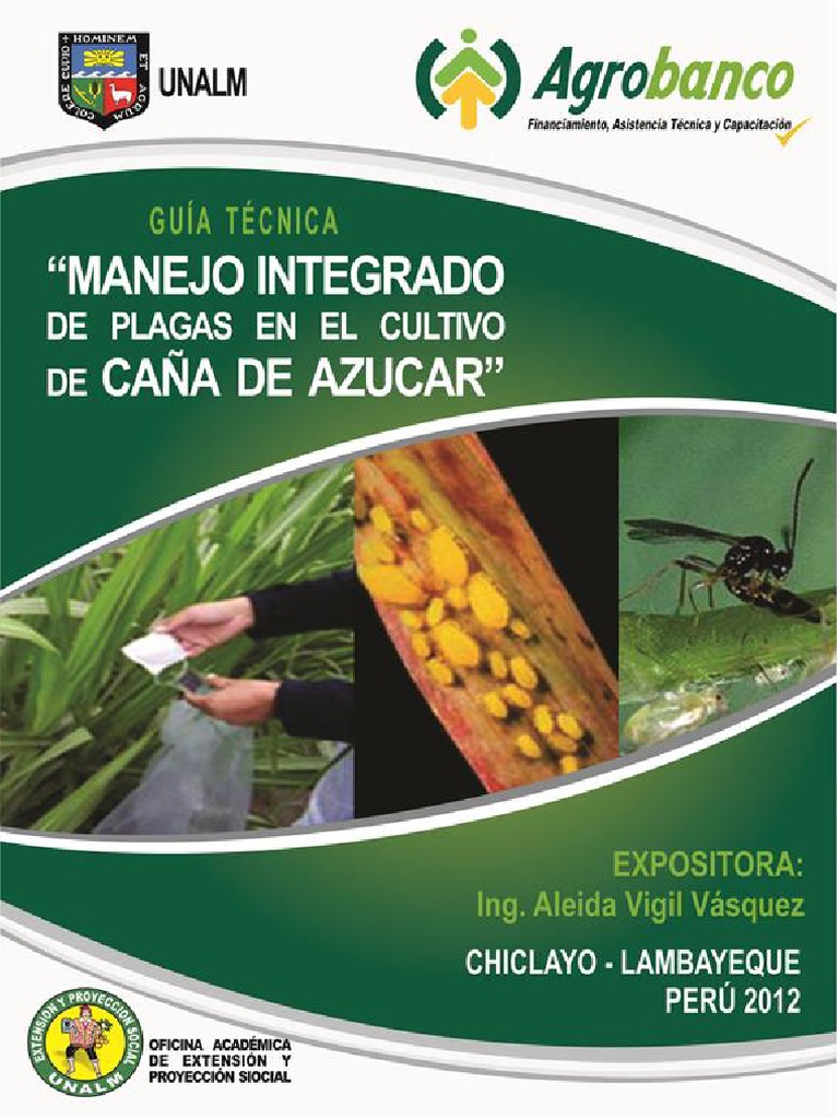 Manejo de Plagas en Caña de Azúcar | PDF | Control biológico de plagas ...
