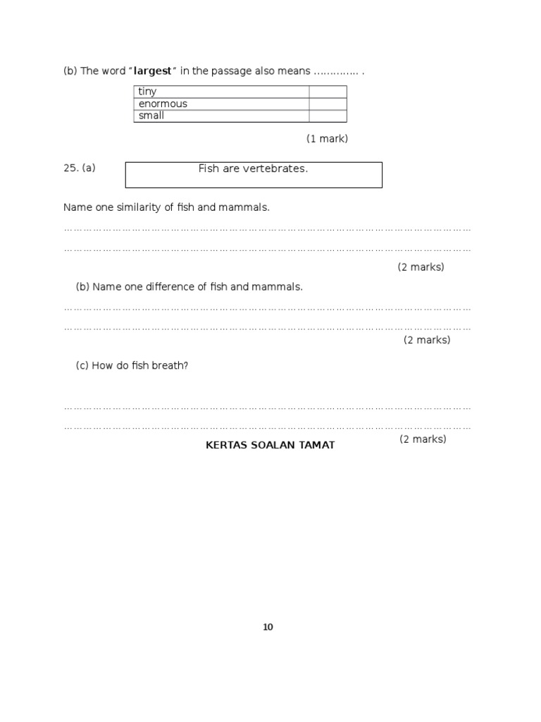 Paper 1 - Section B Quest 24 & 25 | PDF