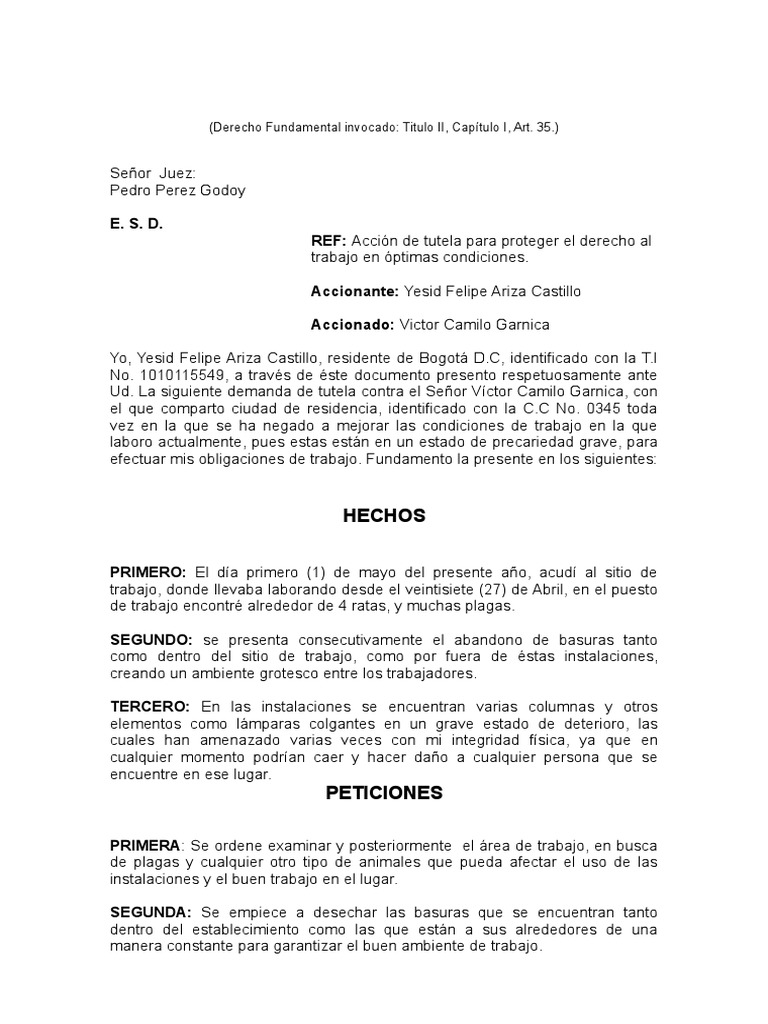 Ejemplo de Acción de Tutela | PDF | Justicia | Crimen y violencia