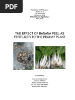 Alugbati (Basella Alba) Fruit Extract As An Alternative Use For Ink ...
