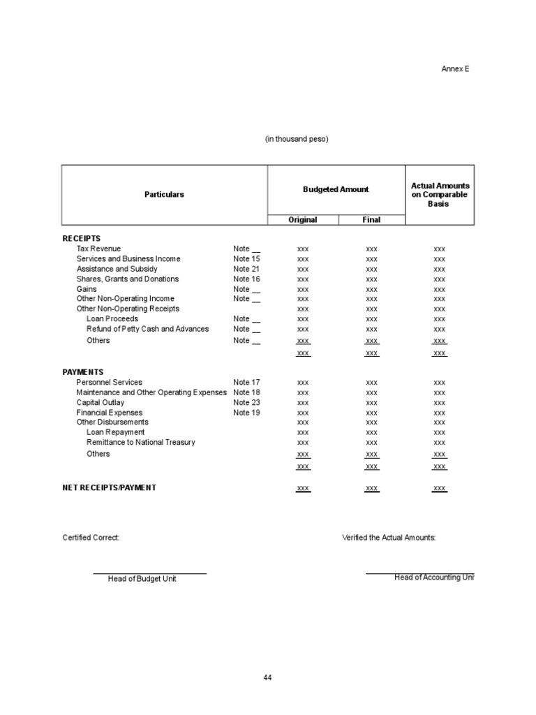 ANNEX E - Statement of Comparison of Budget and Actual Amounts | PDF ...