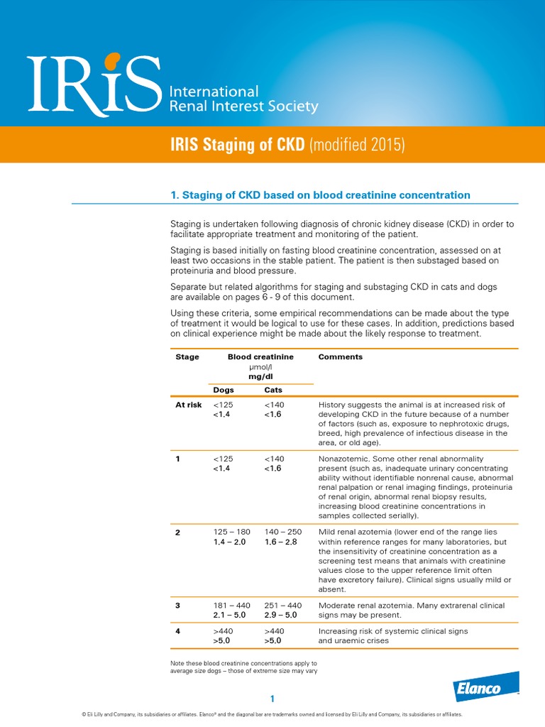 003 5559.001 Iris Website Staging of Ckd PDF 220116 Final | Chronic ...