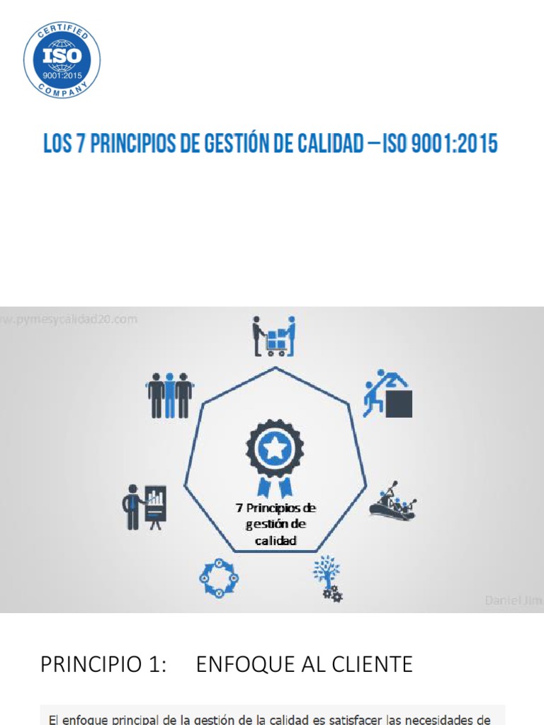 7 Principios de La Gestión de Calidad - Iso 9001-2015 | PDF