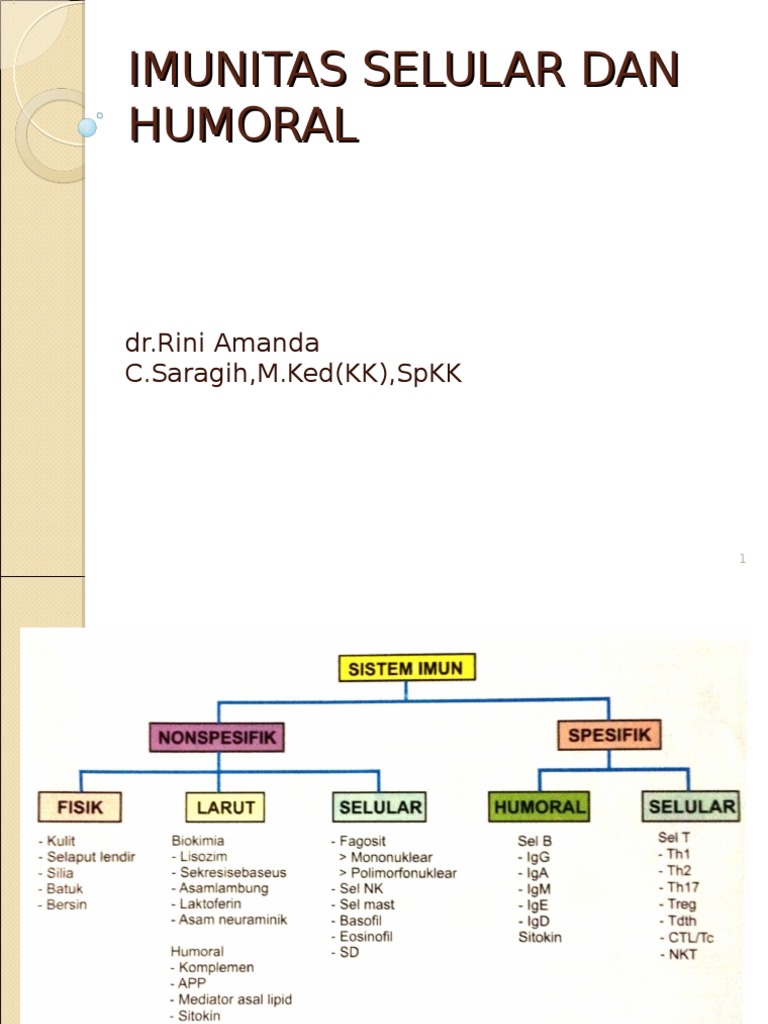 Imunitas Seluler Dan Humoral | PDF