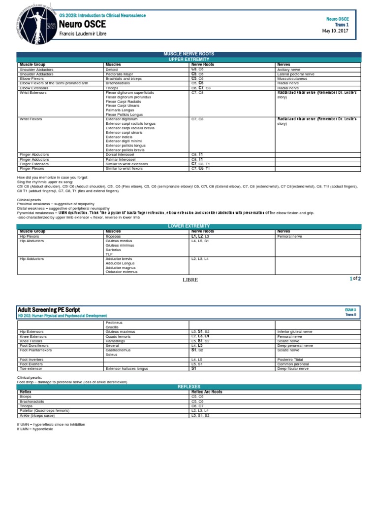 00 Neuro Cheat Sheet | PDF | Human Leg | Finger