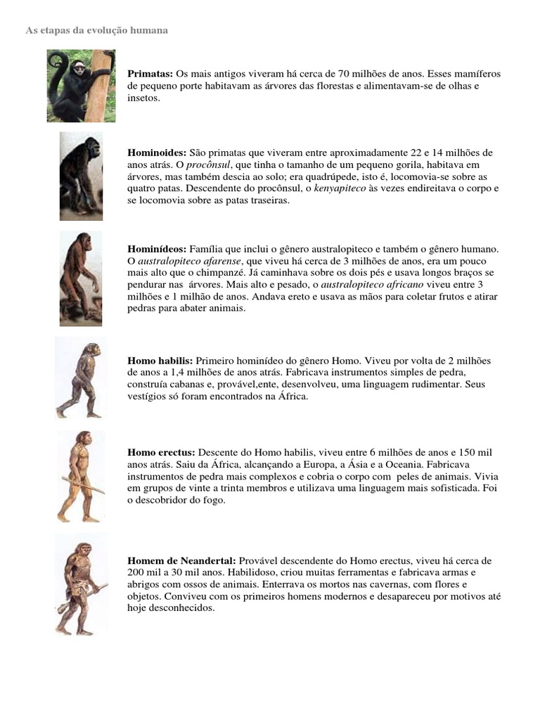 Evolucao Dos Primeiros Hominideos Homo Sapien: E Como A Pele Branca