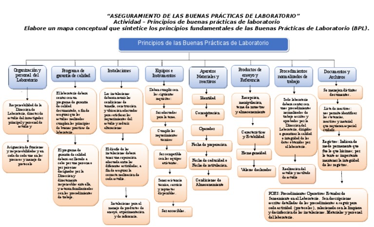 Mapa Mental Principios Las BPL | PDF | Laboratorios | Calidad (comercial)