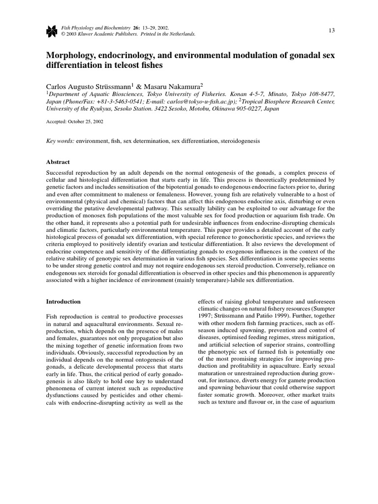 Morphology Endocrinology And Environmental Modulation Of Gonadal Sex Differentiation In