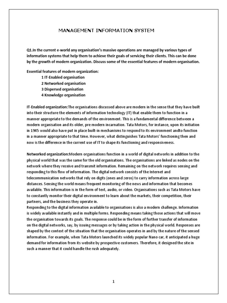 ManagementInformation System | PDF | Crowdsourcing | Sales
