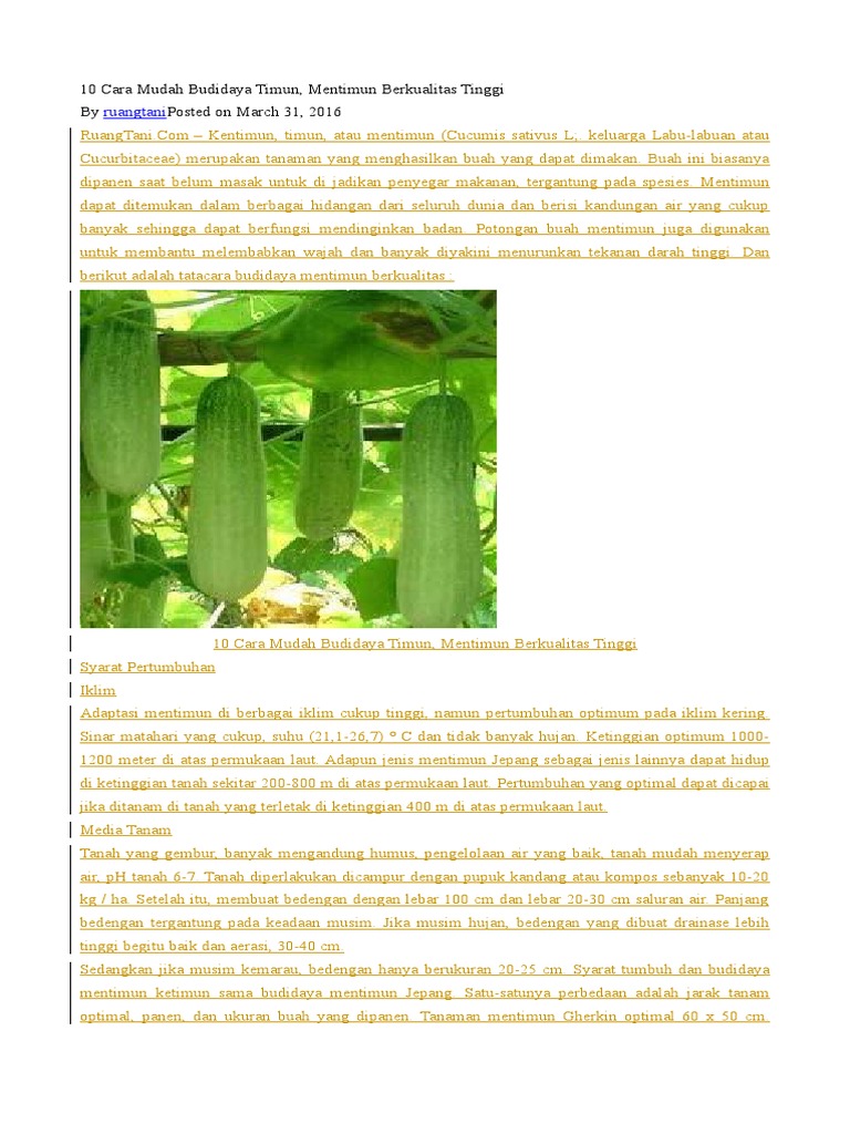 10 Cara Mudah Budidaya Timun | PDF | Griya & Taman
