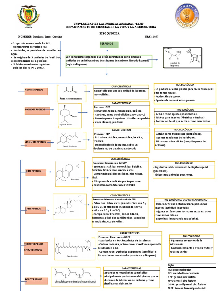 Estructura y funciones de los terpenos | PDF | Carotenoide | Compuestos ...