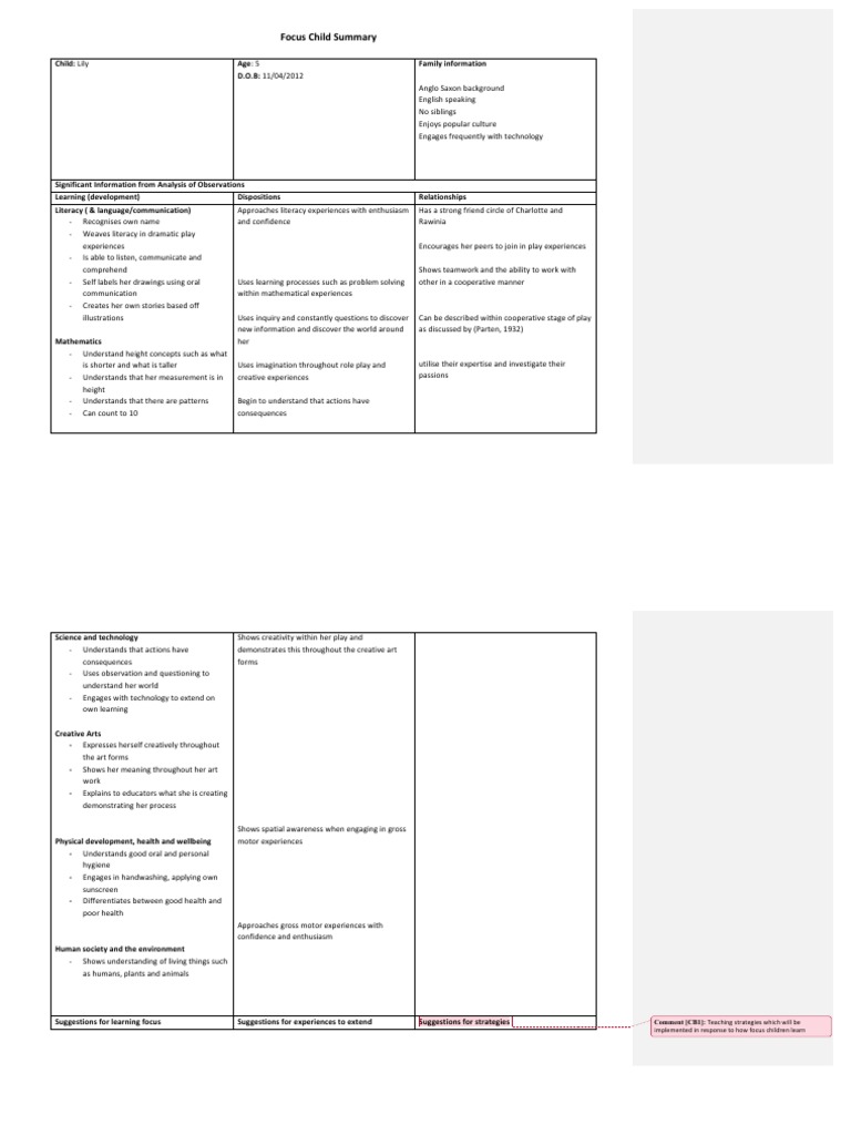 Focus Child Summary Evidence All 3 1 | PDF | Creativity | Literacy