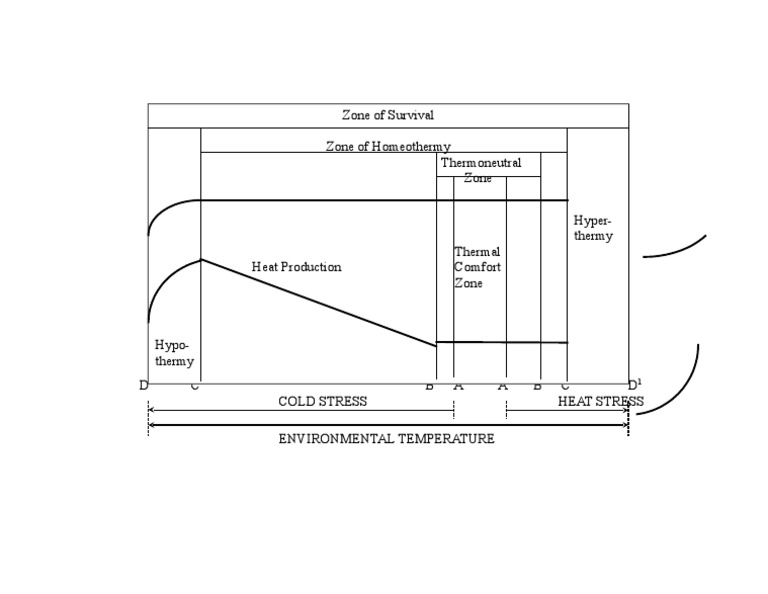 Zone of Survival Zone of Homeothermy Thermoneutral Zone Hyper-Thermy ...
